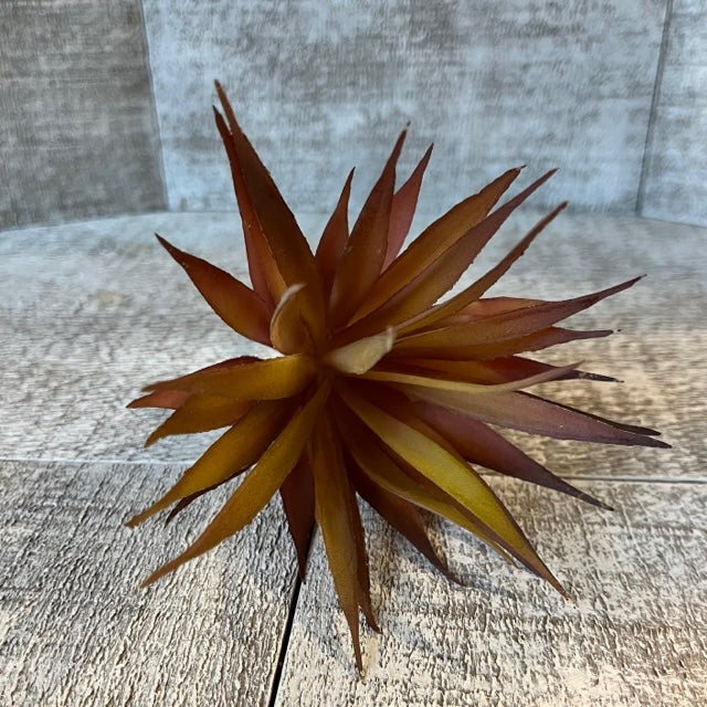 Sprig - Agave | The Old Tin Shed